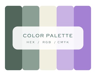 Color Palette for Website, Brand Palette, Color Palette Hex Codes ...