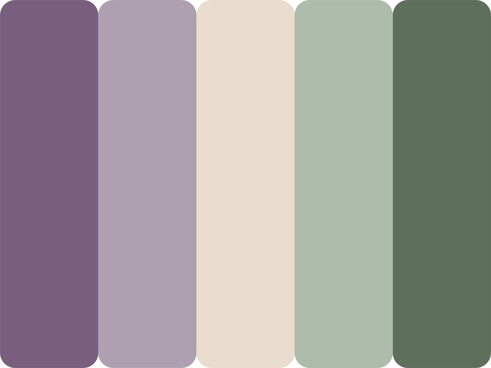 Color Palette for Website, Brand Palette, Color Palette Hex Codes ...