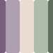Color Palette for Website, Brand Palette, Color Palette Hex Codes ...