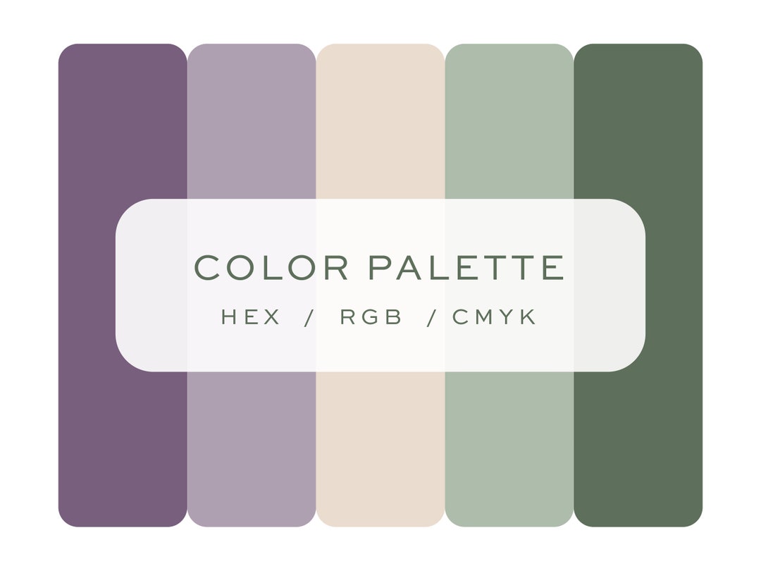 Color Palette for Website, Brand Palette, Color Palette Hex Codes ...