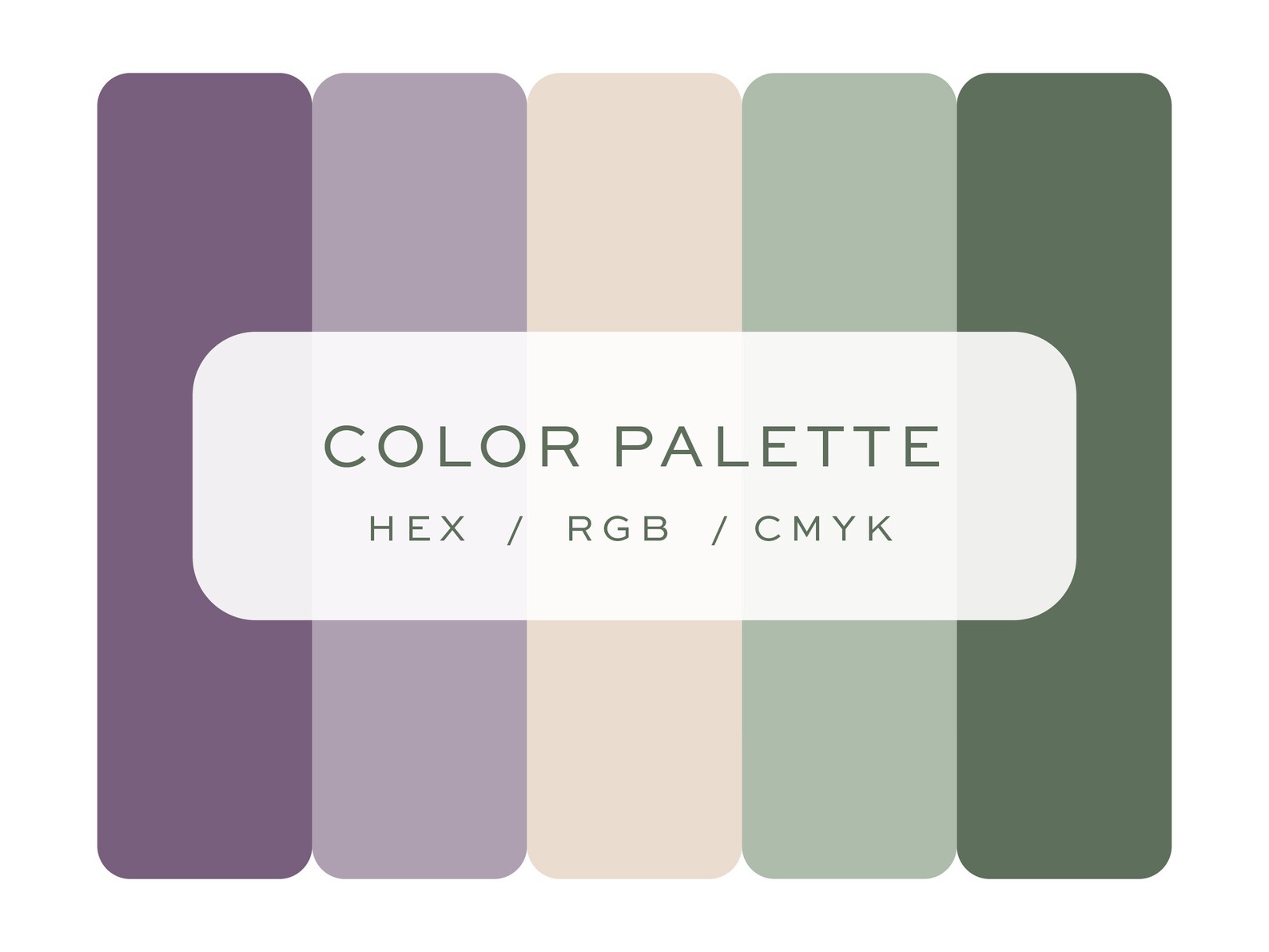 Color Palette for Website, Brand Palette, Color Palette Hex Codes ...