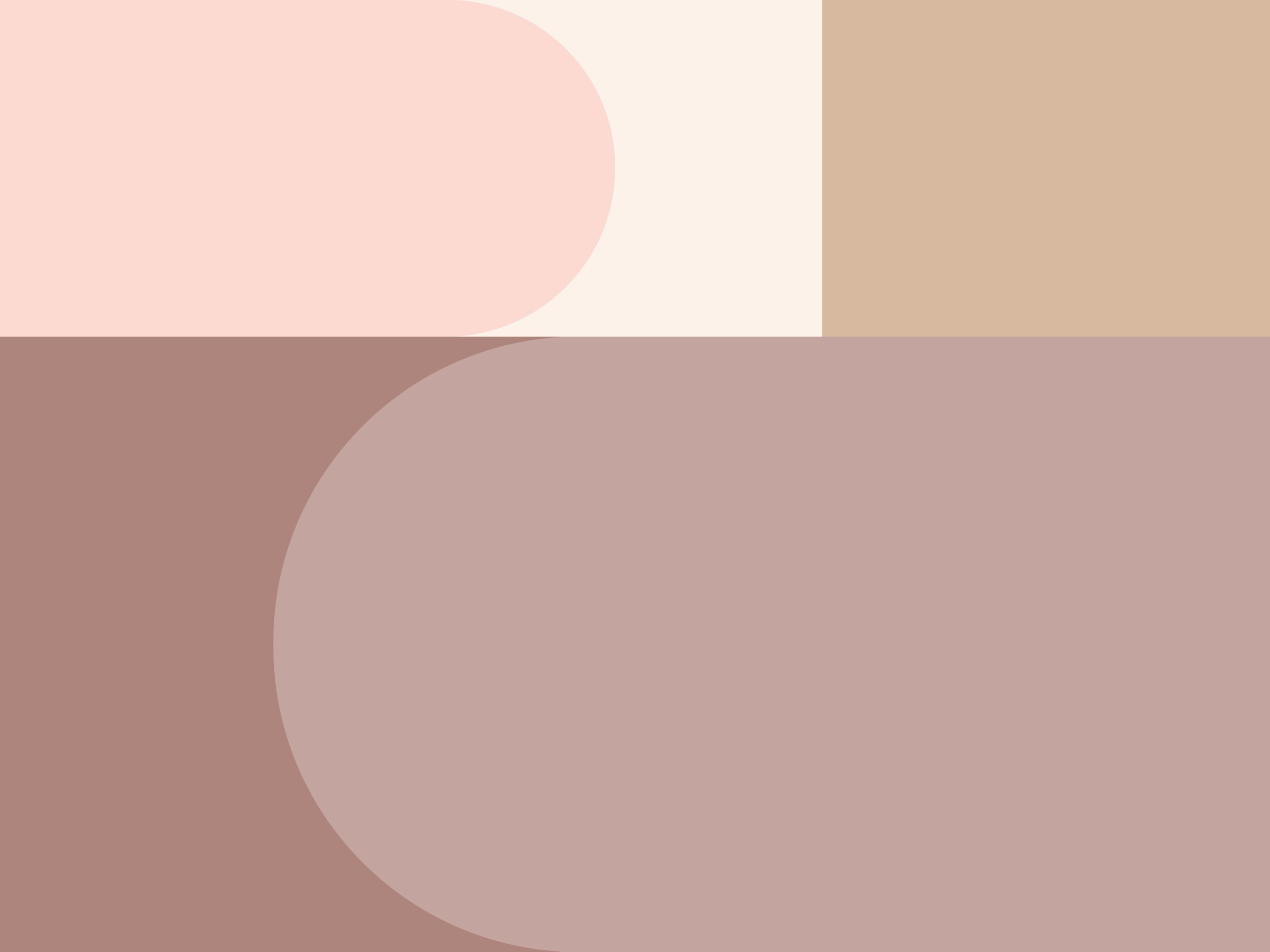 Soft Color Palette for Website, Earthy Brand Palette, Hex Codes, Boho ...