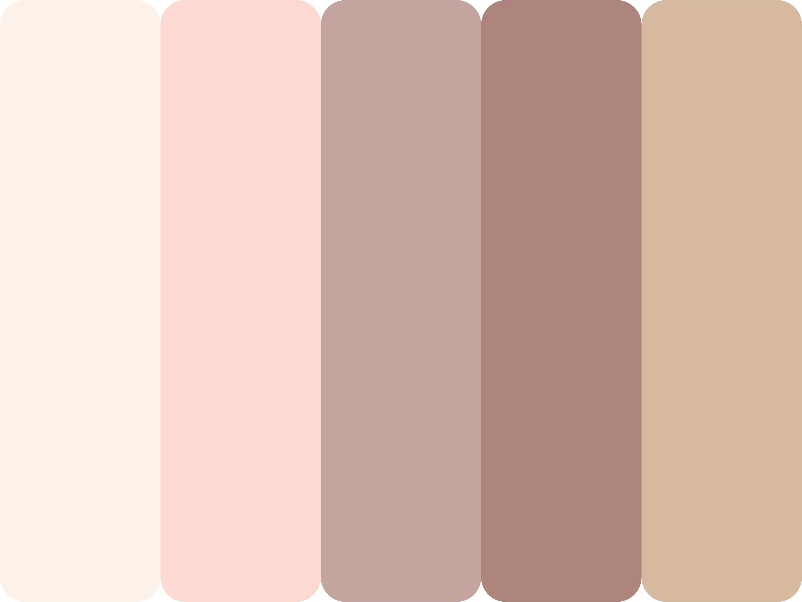 Soft Color Palette for Website, Earthy Brand Palette, Hex Codes, Boho ...