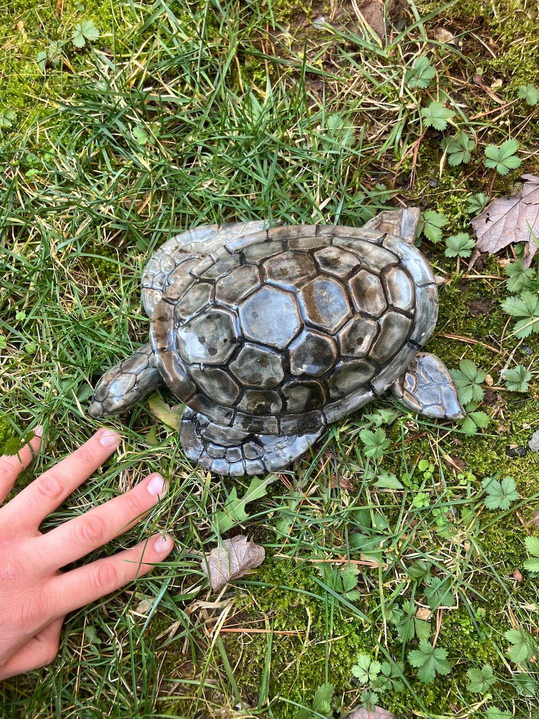 Ceramic “box Turtle” - Etsy