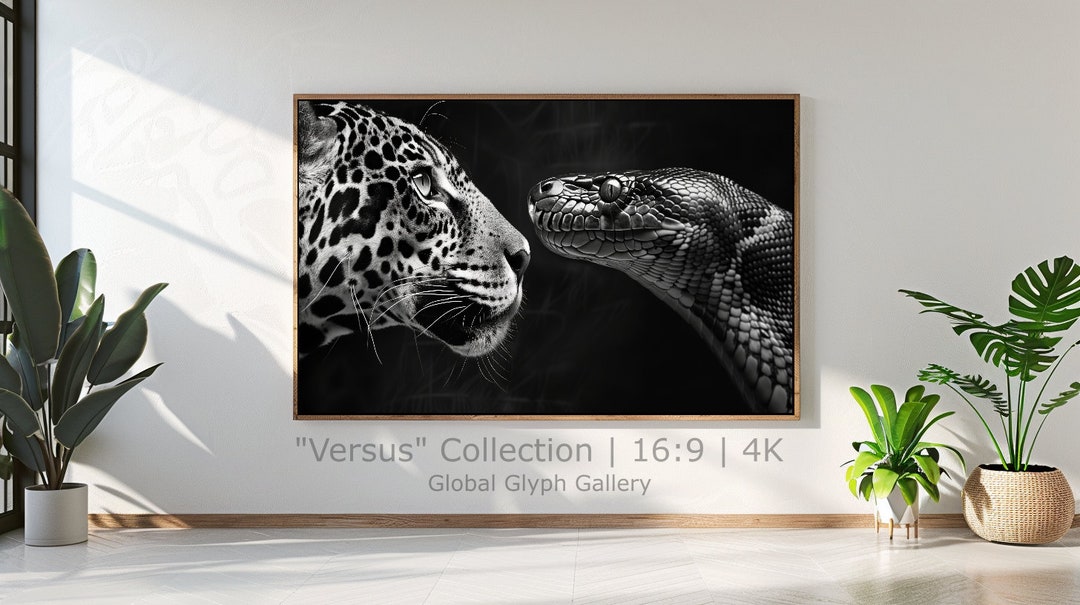 Jaguar Vs Python, Samsung Frame TV Art, Black & White versus Collection ...