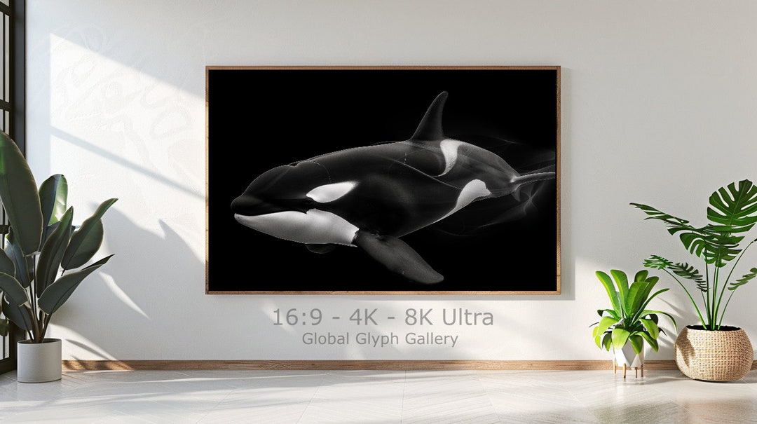 Samsung TV Art, Orca, Black & White Animal Wildlife Collection, Ultra ...