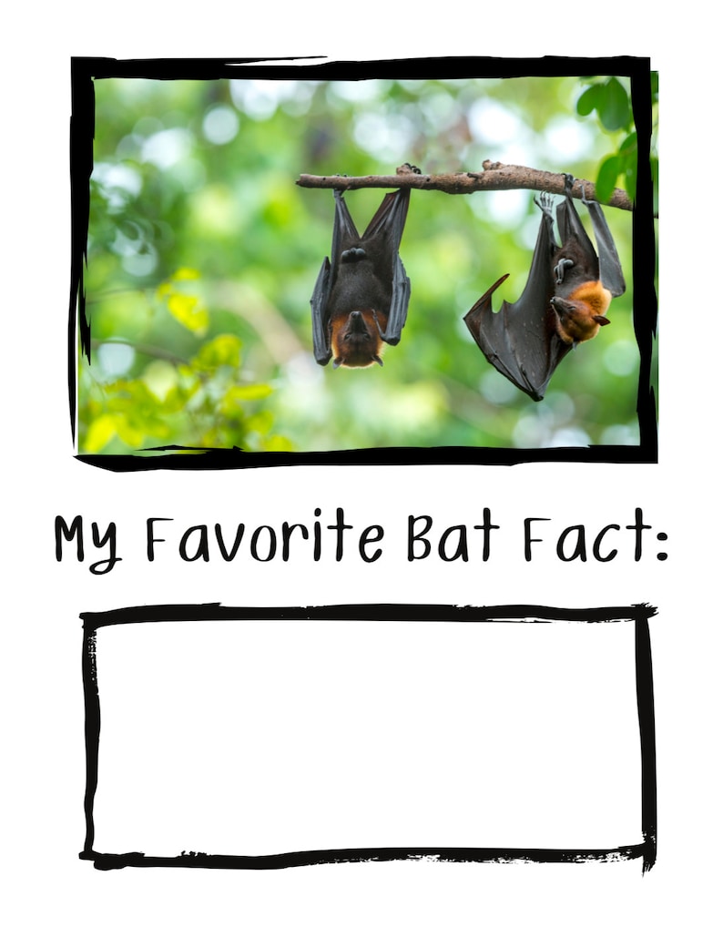 Printable Bats Activities, Printable Bats Worksheets, Homeschooling ...