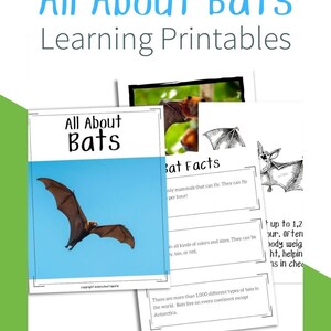 Printable Bats Activities, Printable Bats Worksheets, Homeschooling ...