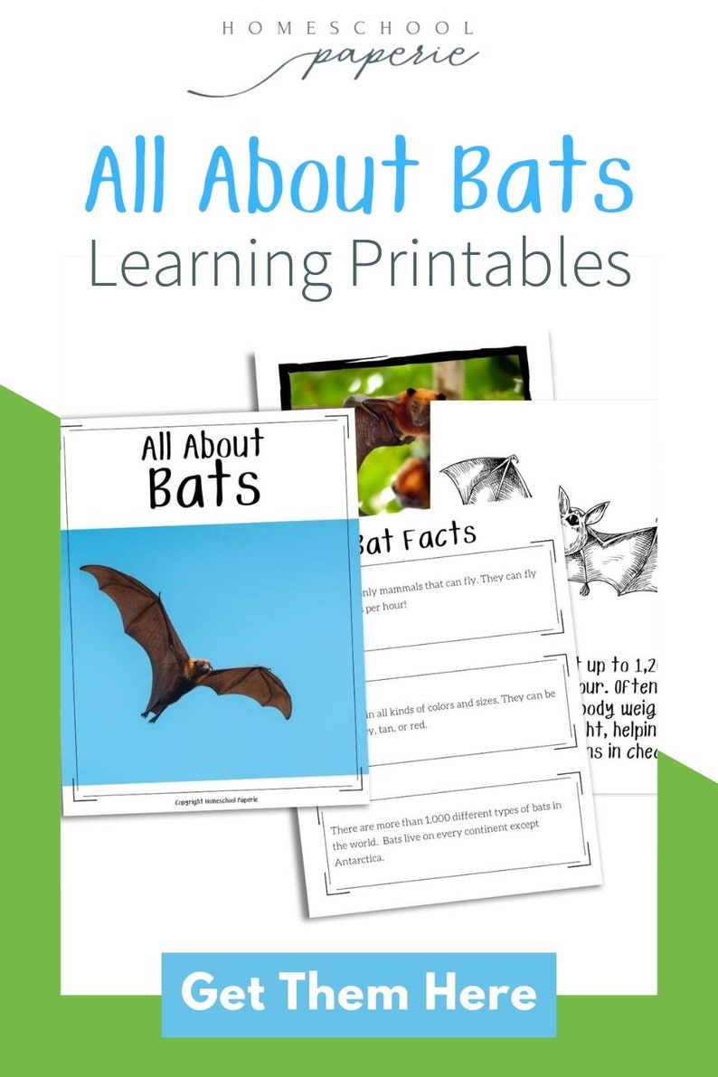 Printable Bats Activities, Printable Bats Worksheets, Homeschooling Bats Activities, Bats ...