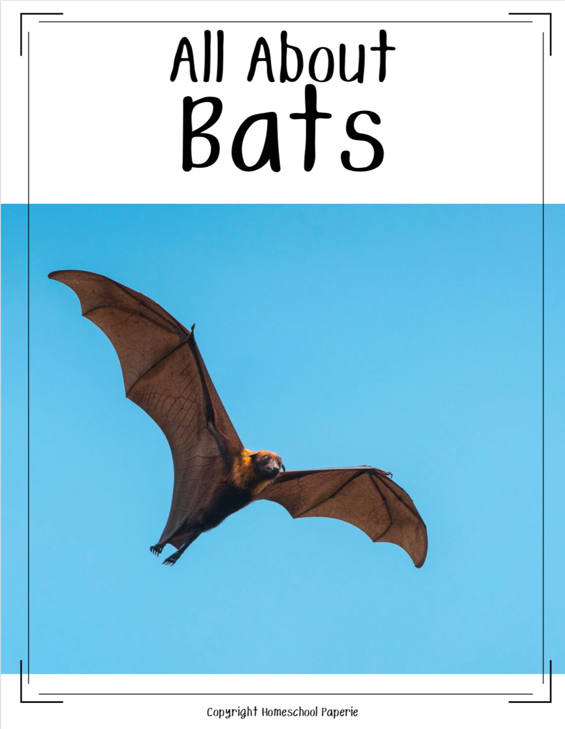 Printable Bats Activities, Printable Bats Worksheets, Homeschooling ...