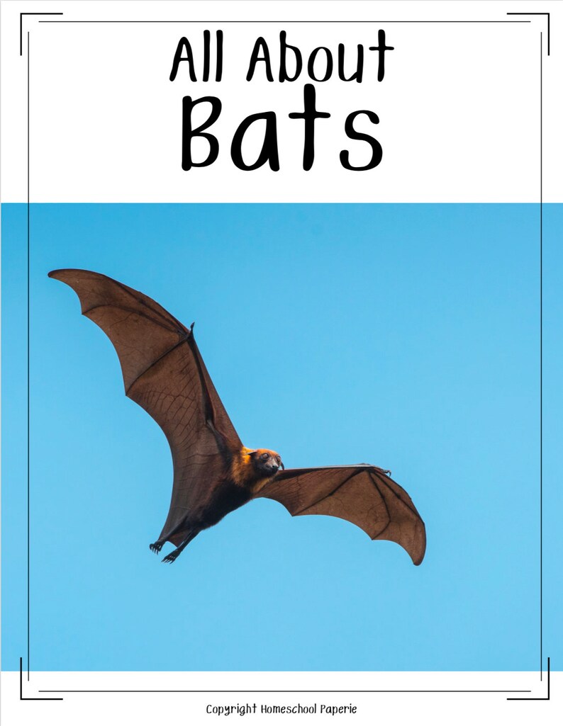 Printable Bats Activities, Printable Bats Worksheets, Homeschooling ...