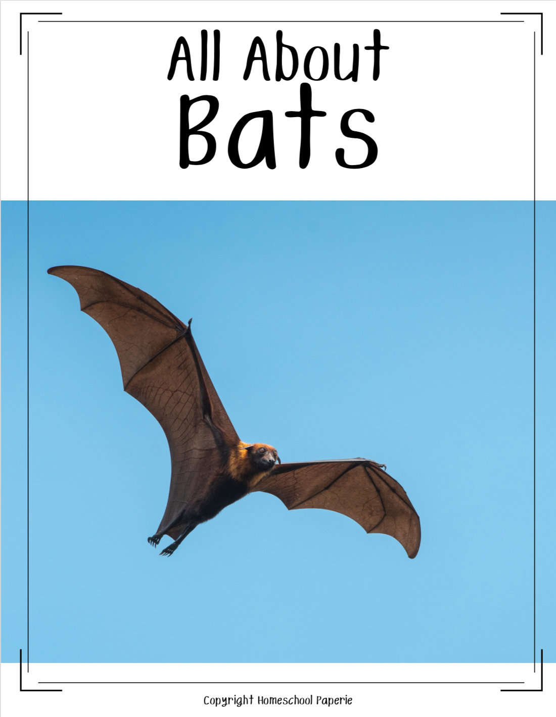 Printable Bats Activities, Printable Bats Worksheets, Homeschooling ...