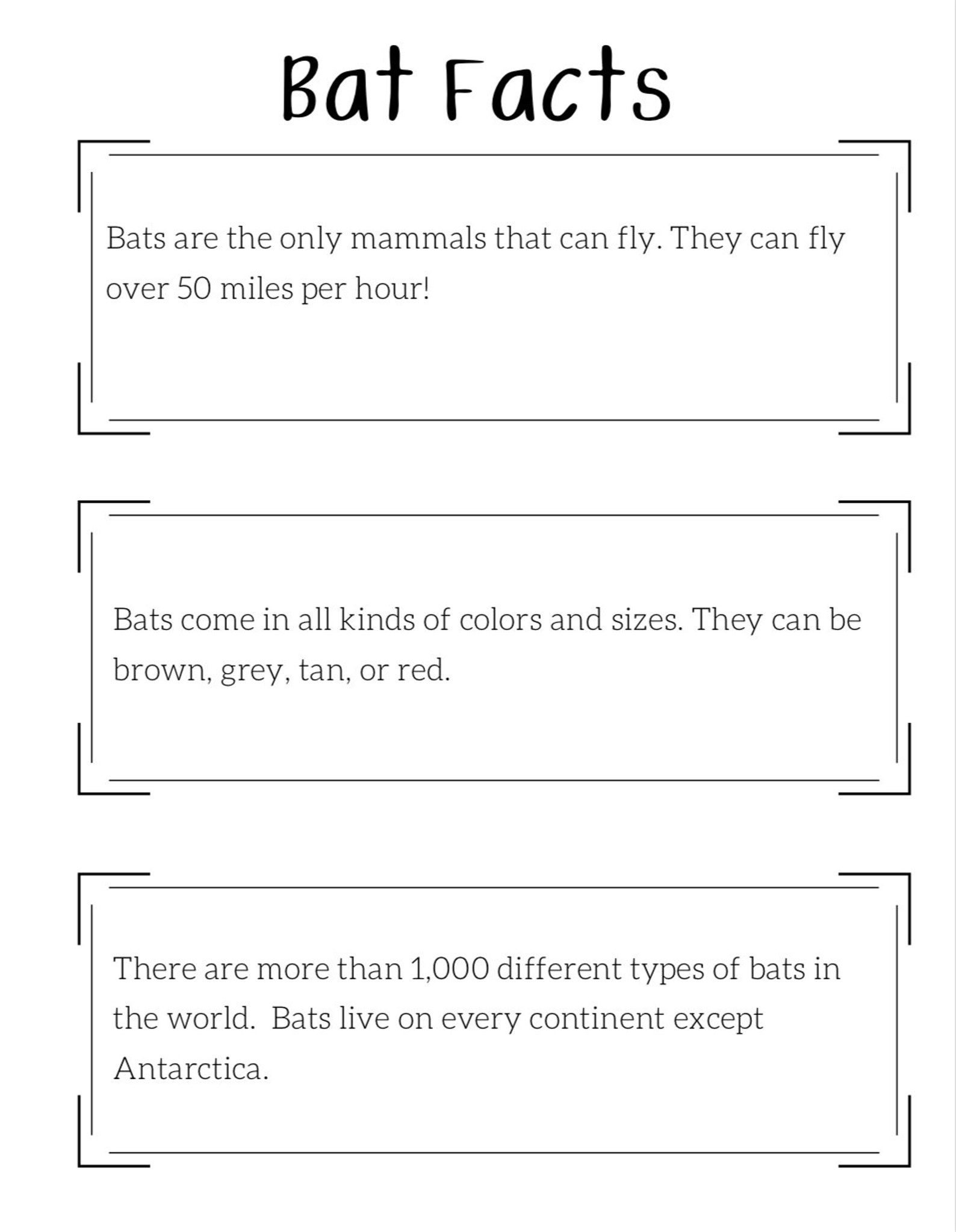 Printable Bats Activities, Printable Bats Worksheets, Homeschooling ...