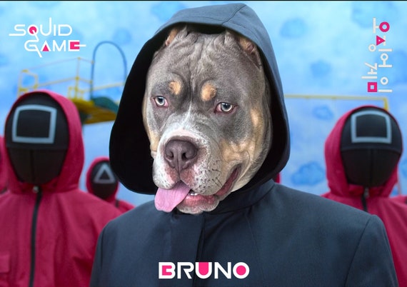 Prints Custom Pet Canvas Squid Game Art & Collectibles etna.com.pe