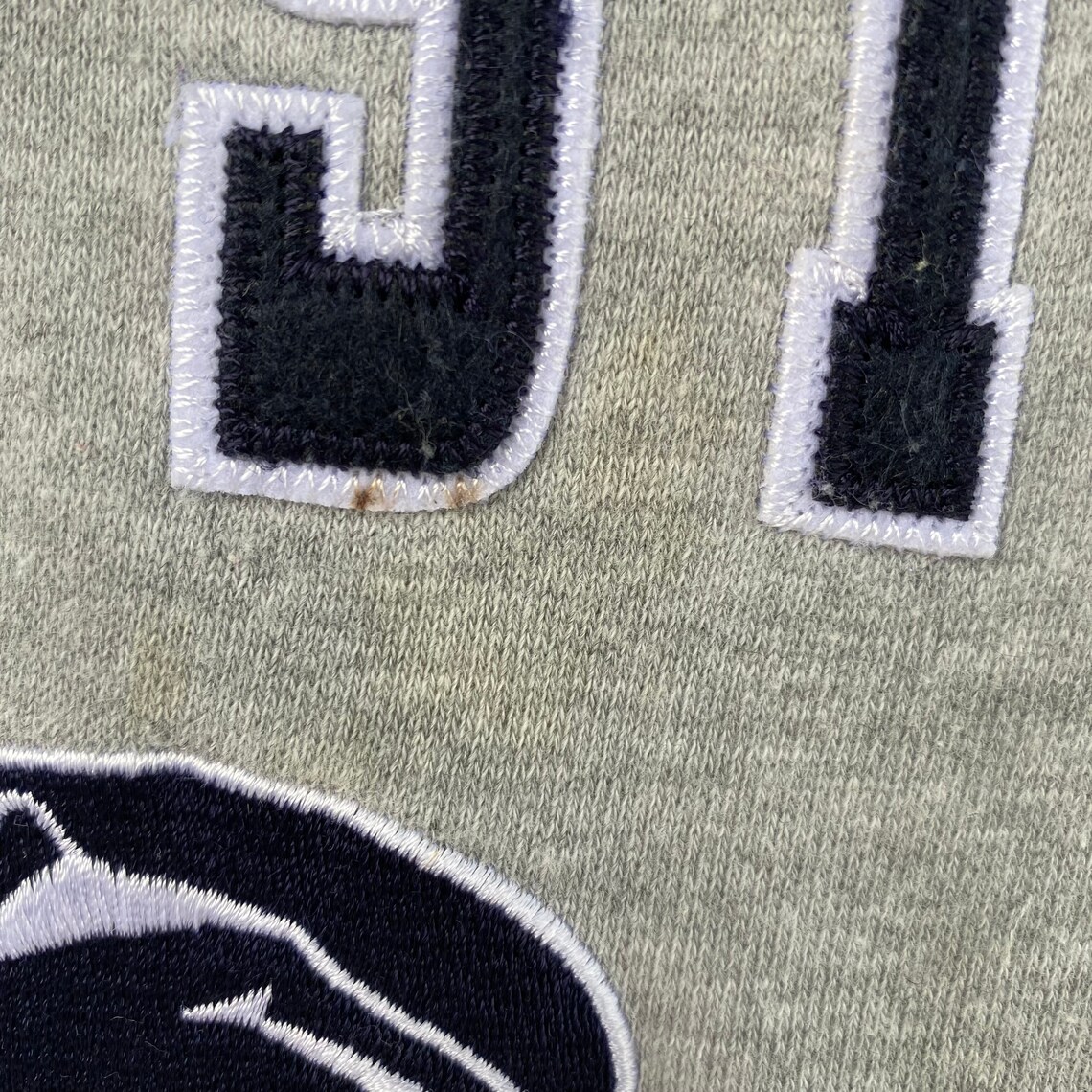 Vintage Y2K Team Edition Tag Penn State Spellout Biglogo | Etsy