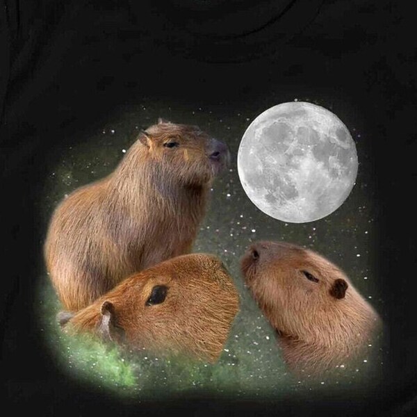 Capybara Merch - Etsy UK