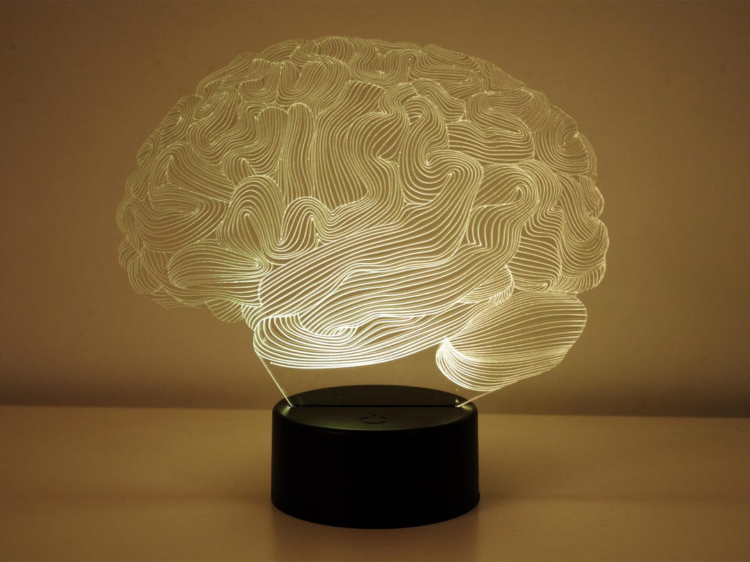 Personalized Brain LED Lamp - 3D Color Changing Science Decor for ...