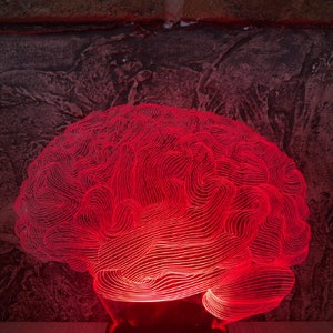 BRAIN ART LED Desk Lamp, Color Changing Science Decor, Custom 3d Lamp ...