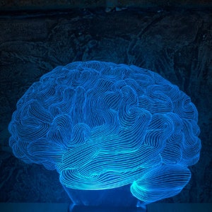 BRAIN ART LED Desk Lamp, Color Changing Science Decor, Custom 3d Lamp ...
