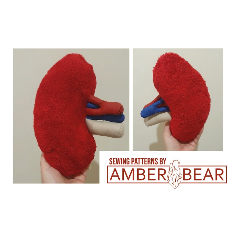 Kidney Sewing Pattern PDF Digital Download ONLY Tutorial DIY Stuffed ...