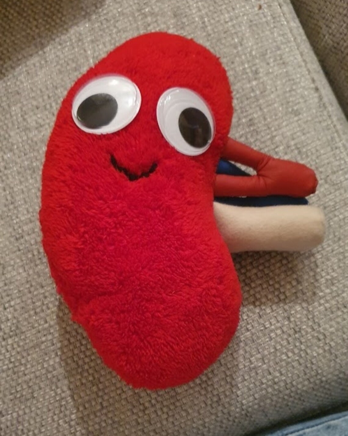 Kidney Sewing Pattern PDF Digital Download ONLY Tutorial DIY Stuffed ...