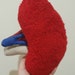 Kidney Sewing Pattern PDF Digital Download ONLY Tutorial DIY Stuffed ...