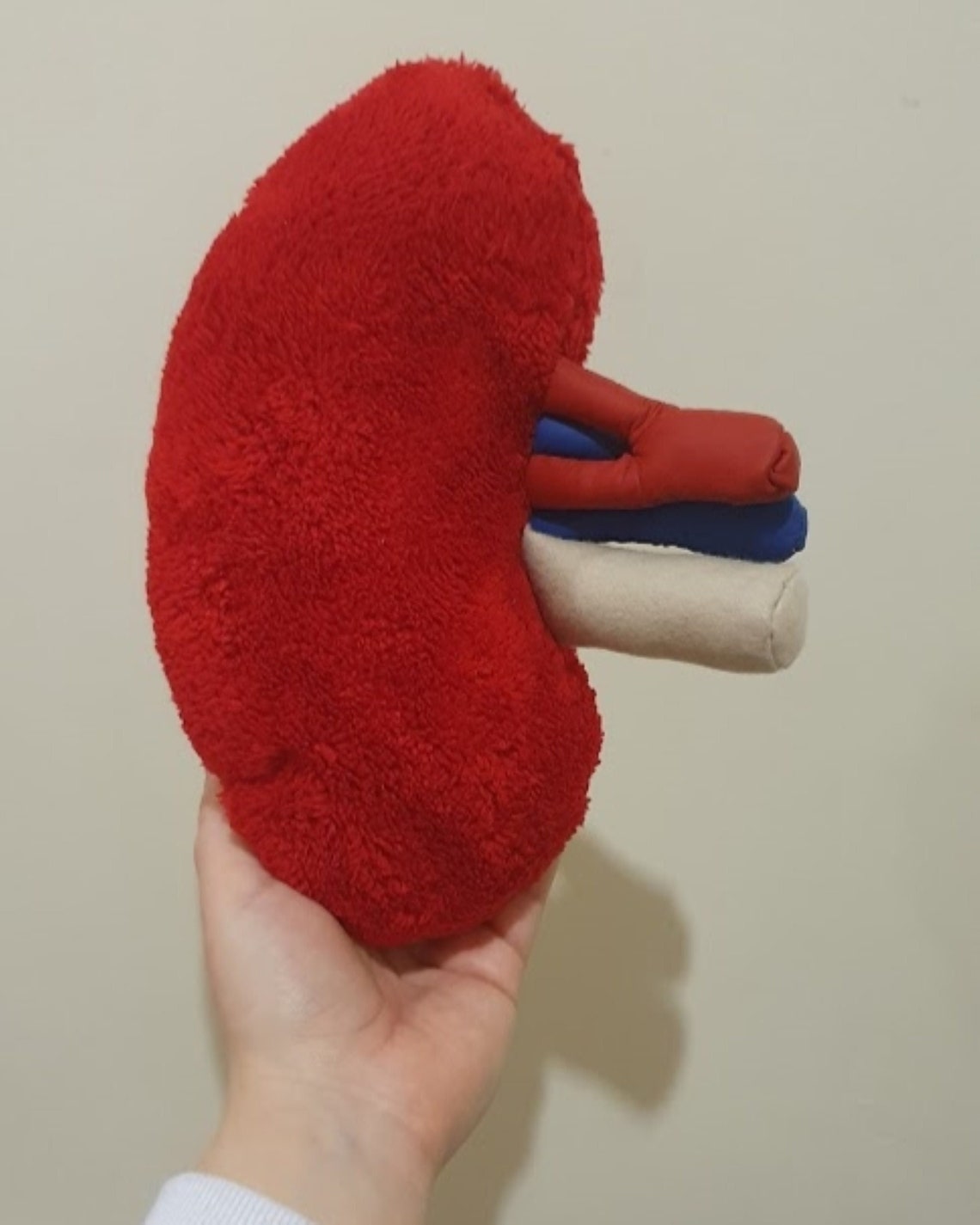 Kidney Sewing Pattern PDF Digital Download ONLY Tutorial DIY Stuffed ...