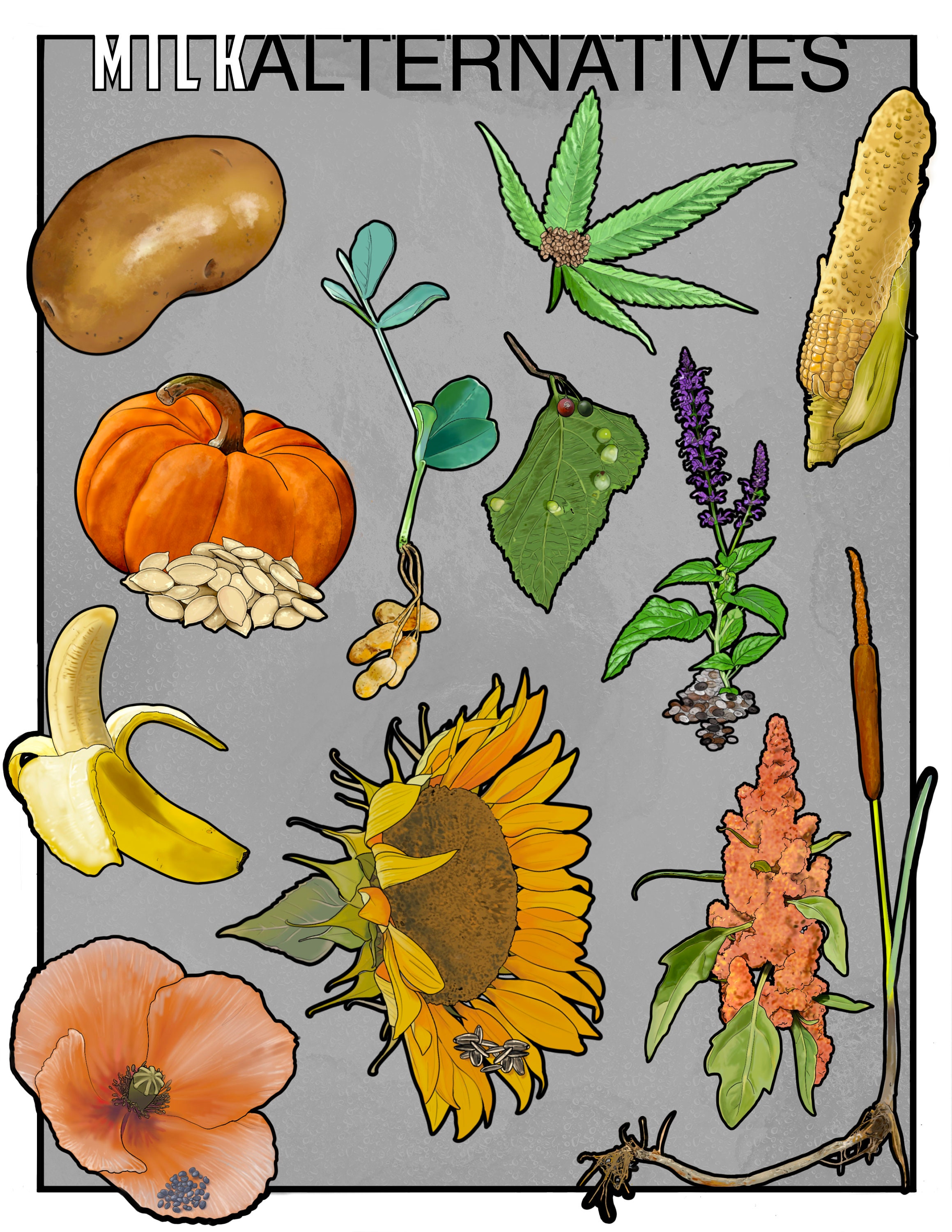 Plant Milk Alternatives Adult Coloring Book Digital Download - Etsy