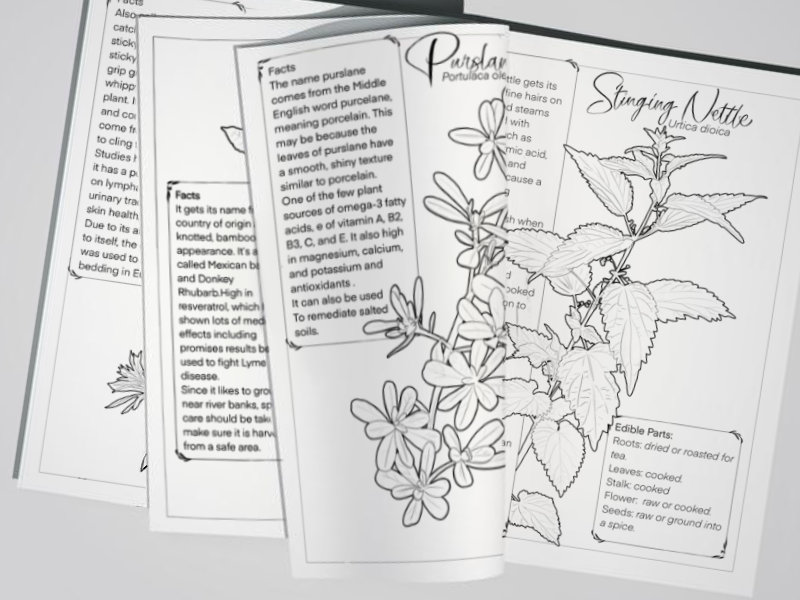 Invasive Plant Foraging Coloring Book, Digital Download - Etsy