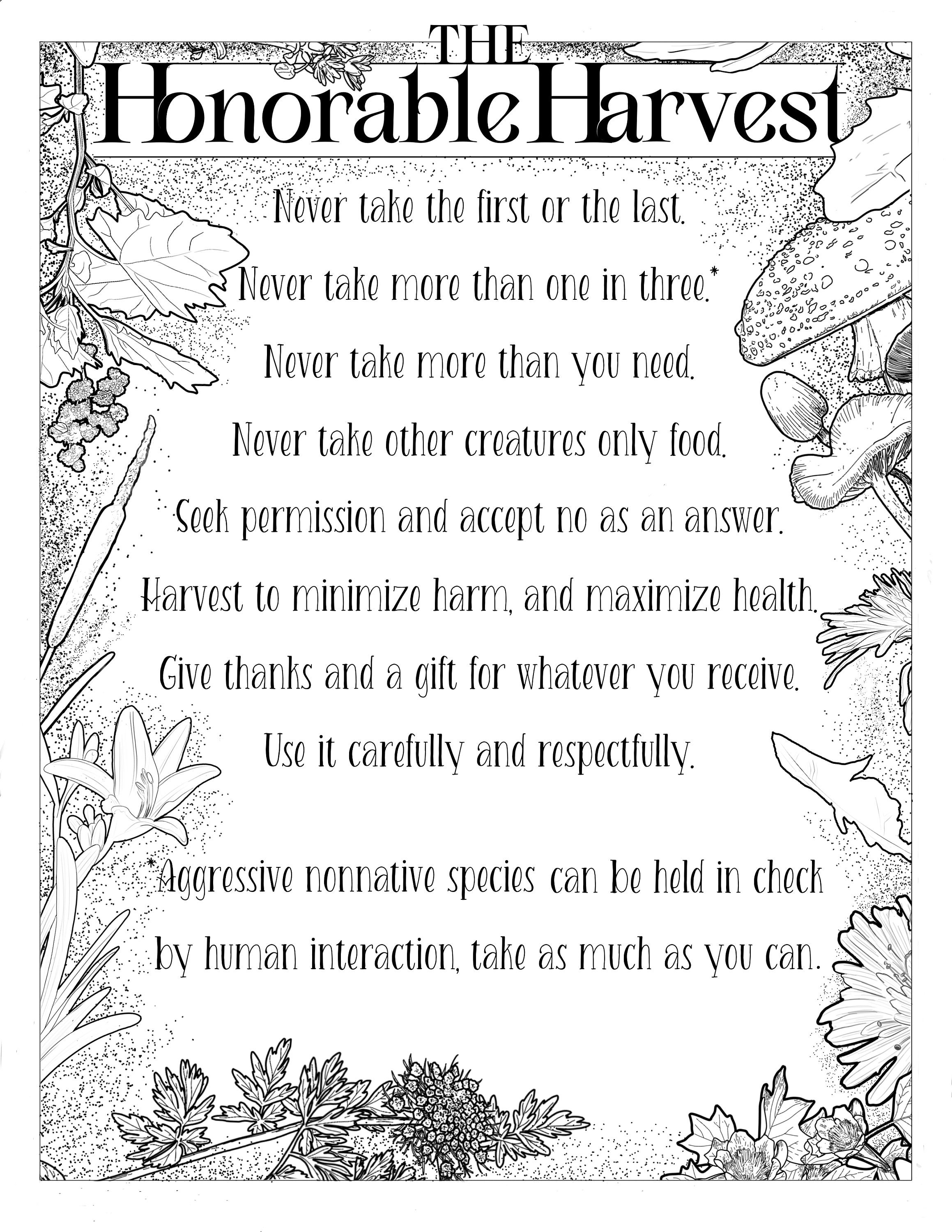 The Honorable Harvest - Etsy