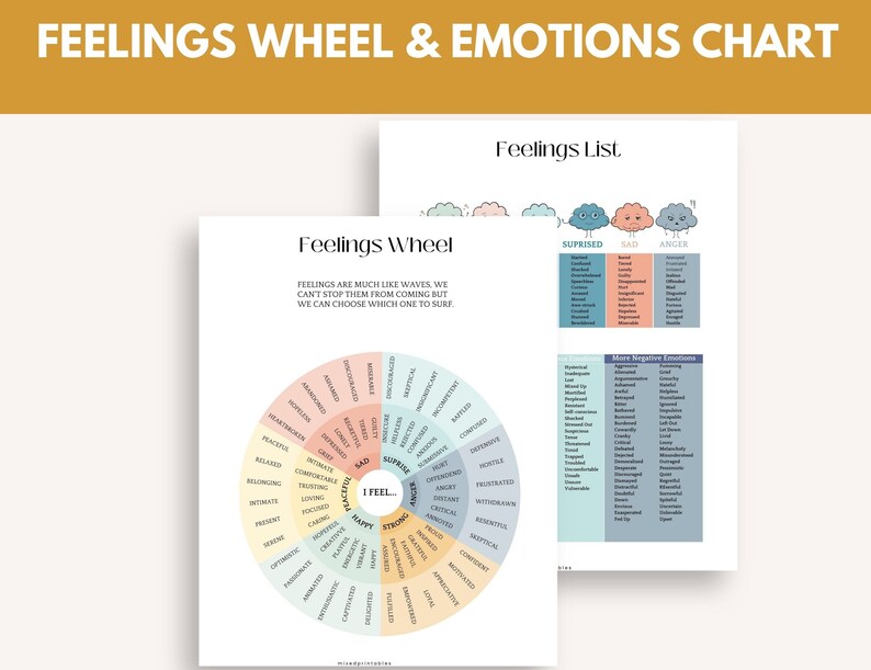 The Circle of Control and Influence Worksheets and Psychoeducation Tool ...