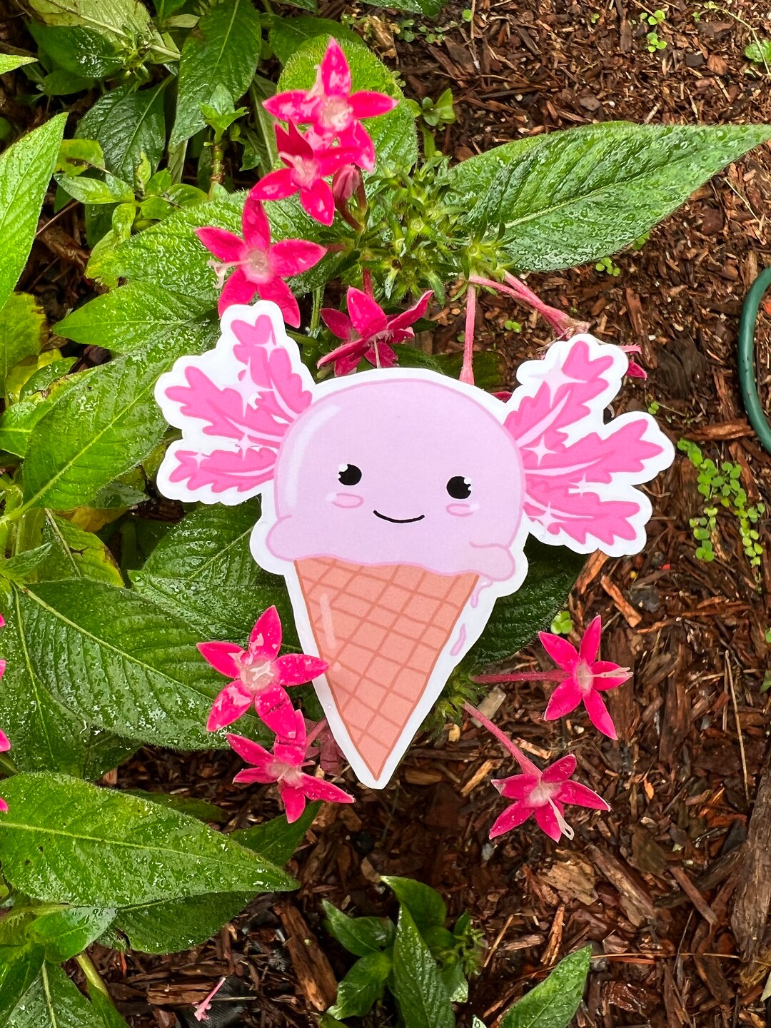 Axolotl Ice Cream Sticker - Etsy