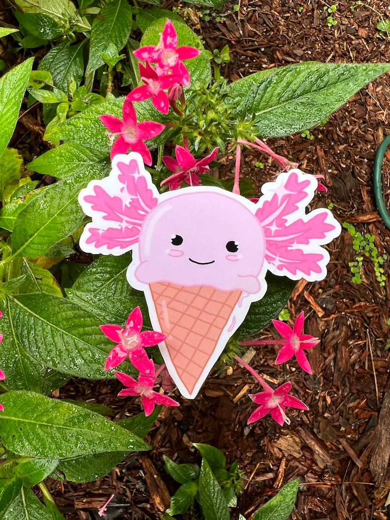 Axolotl Ice Cream Sticker - Etsy