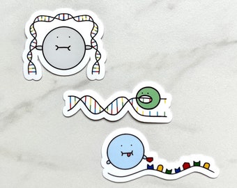 Biochemistry Stickers - Etsy