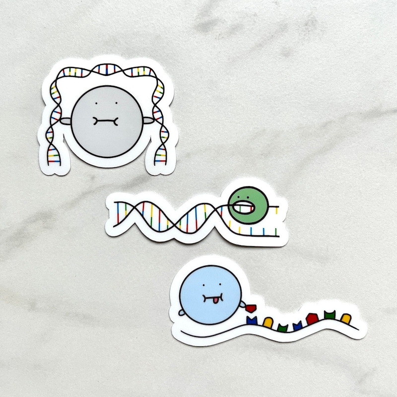 Protein Research Gift - 60+ Gift Ideas for 2025