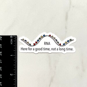 RNA Sticker - Etsy