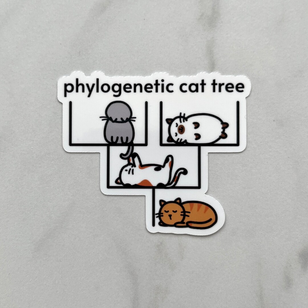 Phylogenetic Cat Tree Sticker - Etsy