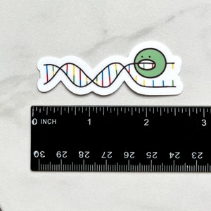 DNA Proteins Sticker Pack - Etsy