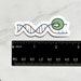DNA Proteins Sticker Pack - Etsy