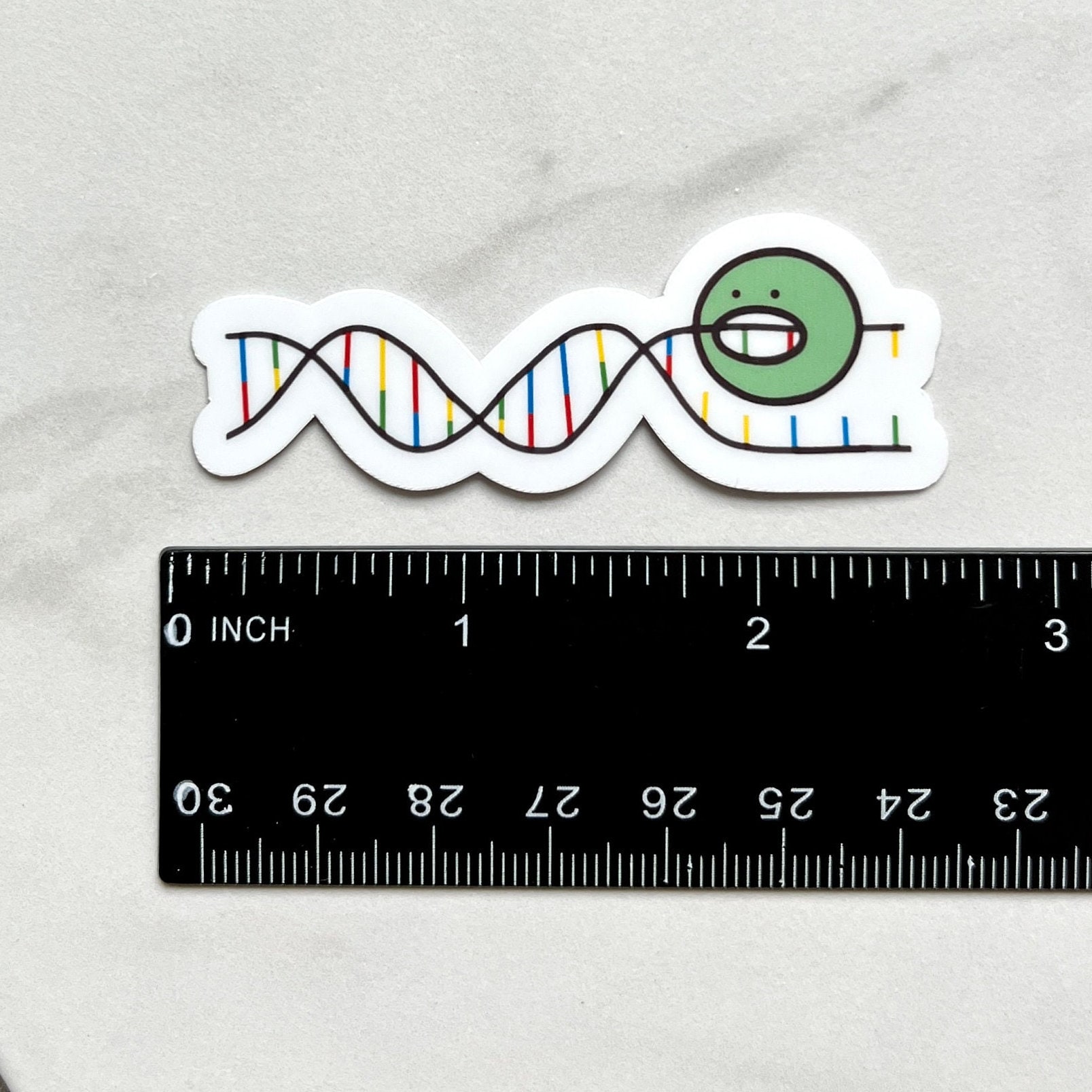 DNA Proteins Stickers Science Cell Biology Molecular - Etsy