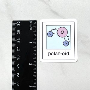 Polar Photo Sticker - Etsy