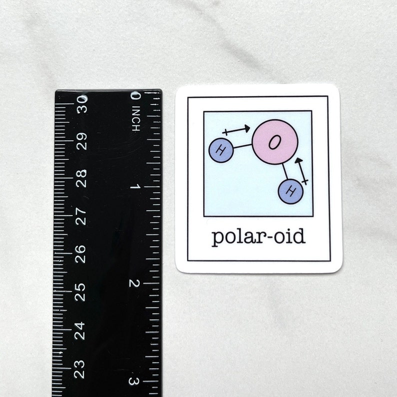 Polar Photo Sticker - Etsy