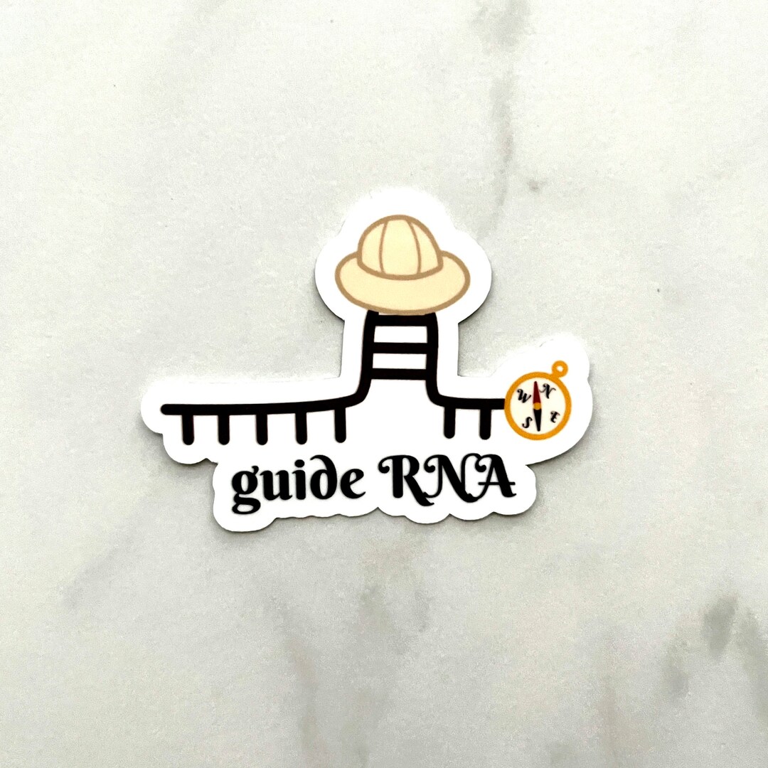 Guide RNA Sticker - Etsy