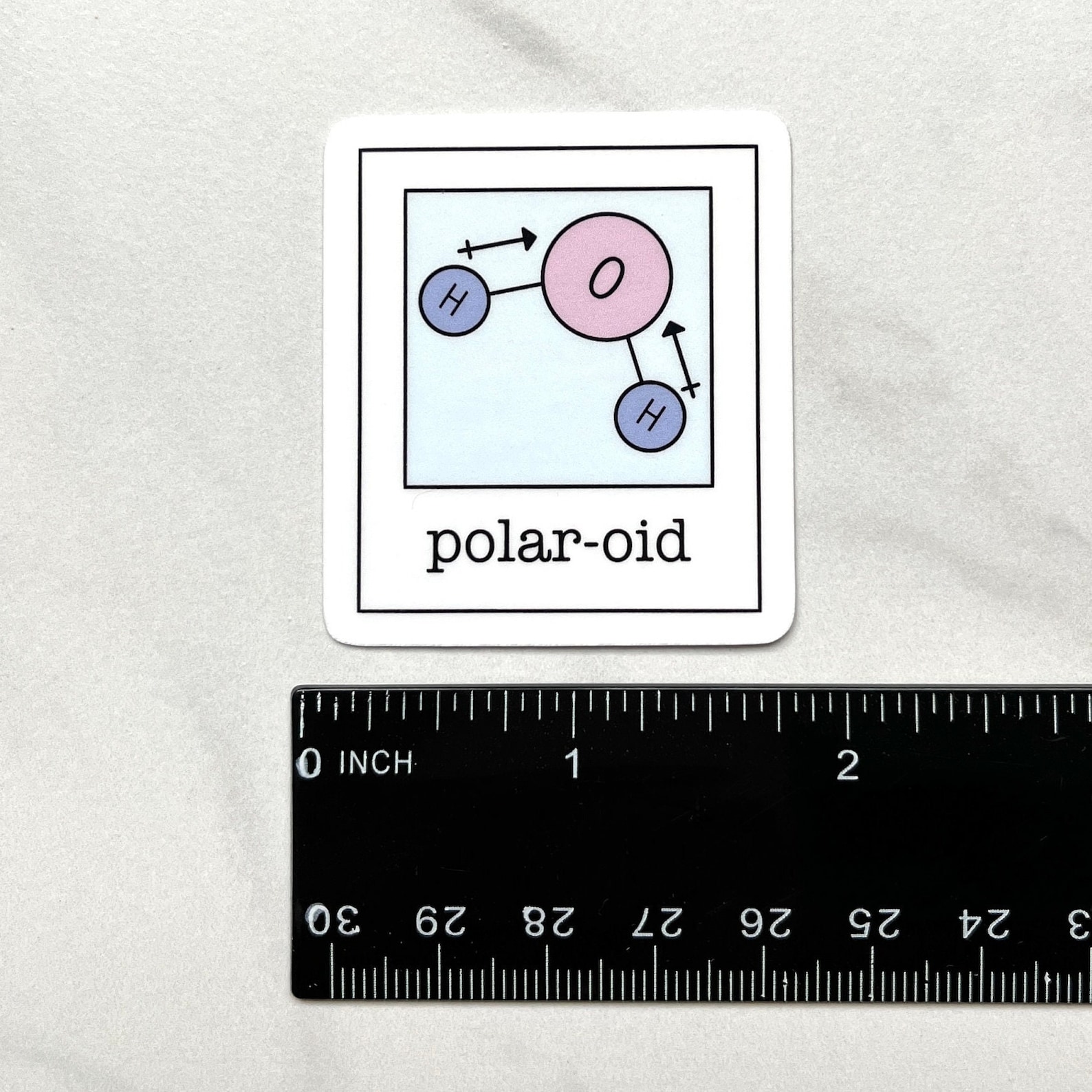 Polar Photo Sticker - Etsy