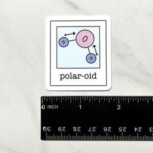 Polar Photo Sticker - Etsy