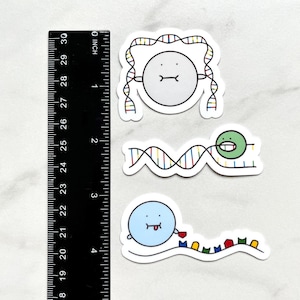 DNA Proteins Sticker Pack - Etsy