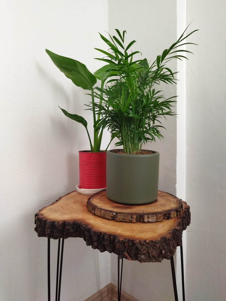 Natural Wood Coffe Table Plant Stand Wood Slab Coffee Table - Etsy