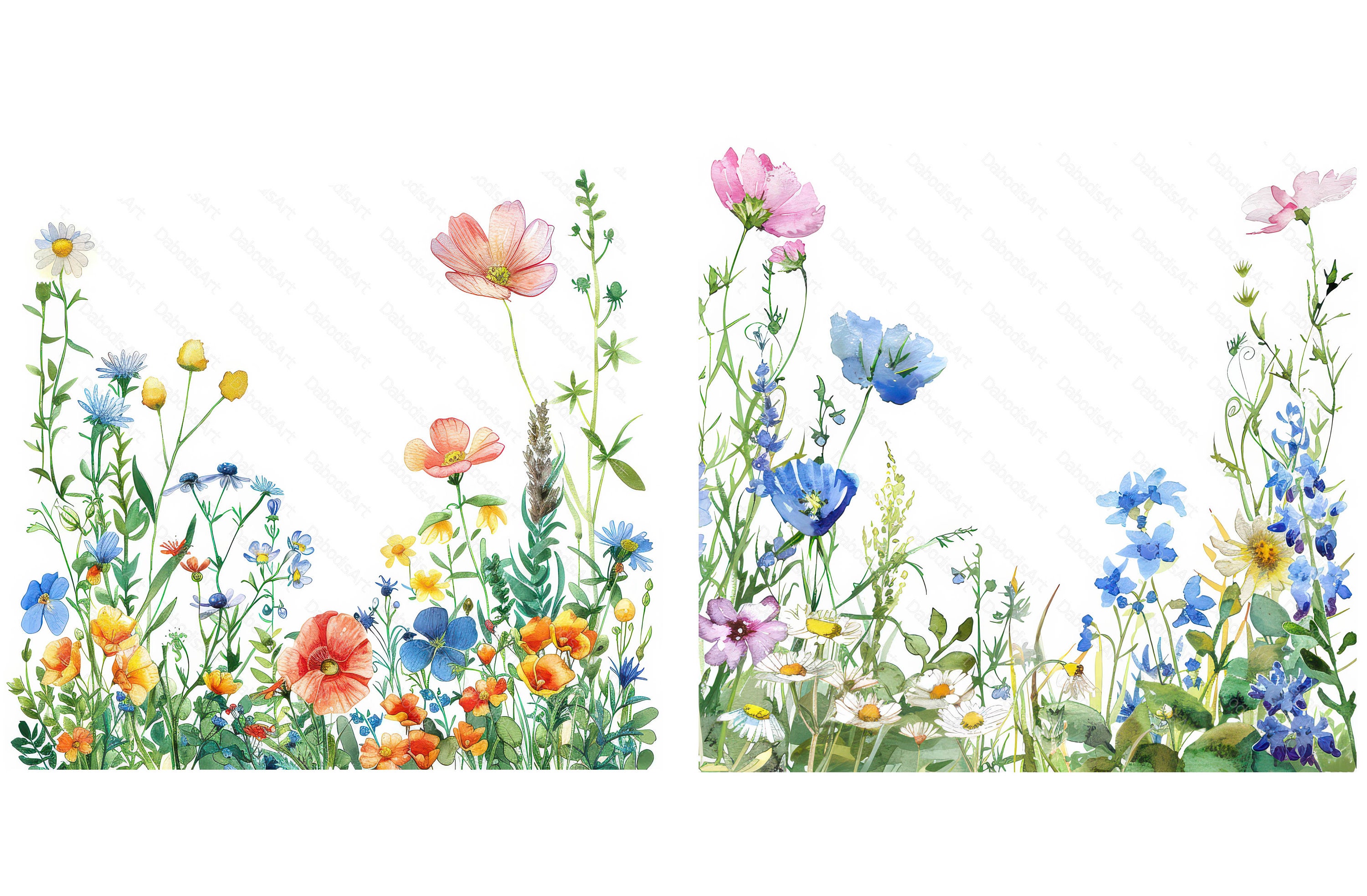 20 Watercolor Wildflowers Border. Set 4. Meadow Flowers and Grasses ...