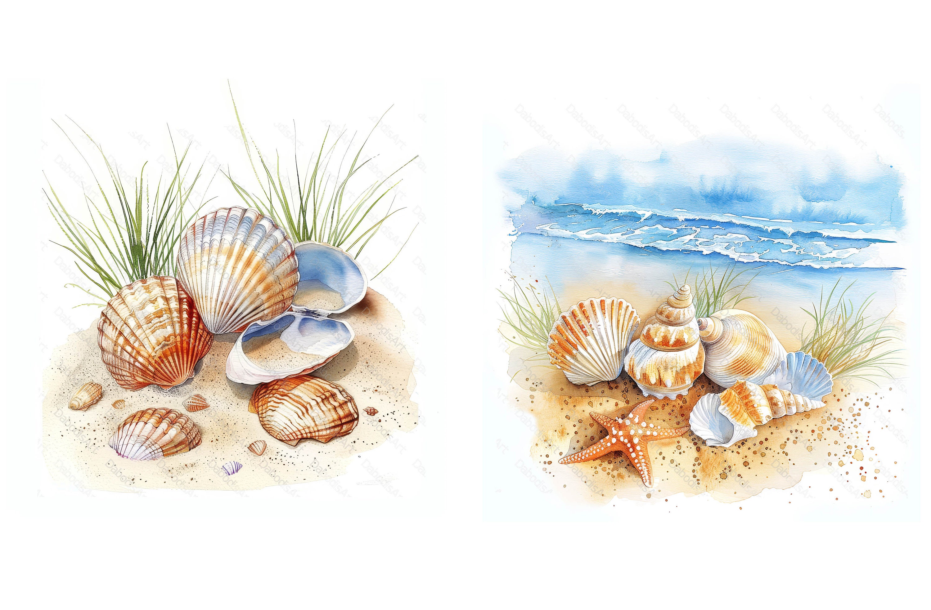 20 Watercolor Seashells Starfish. Beach Sand Summer Vacation Landscape ...