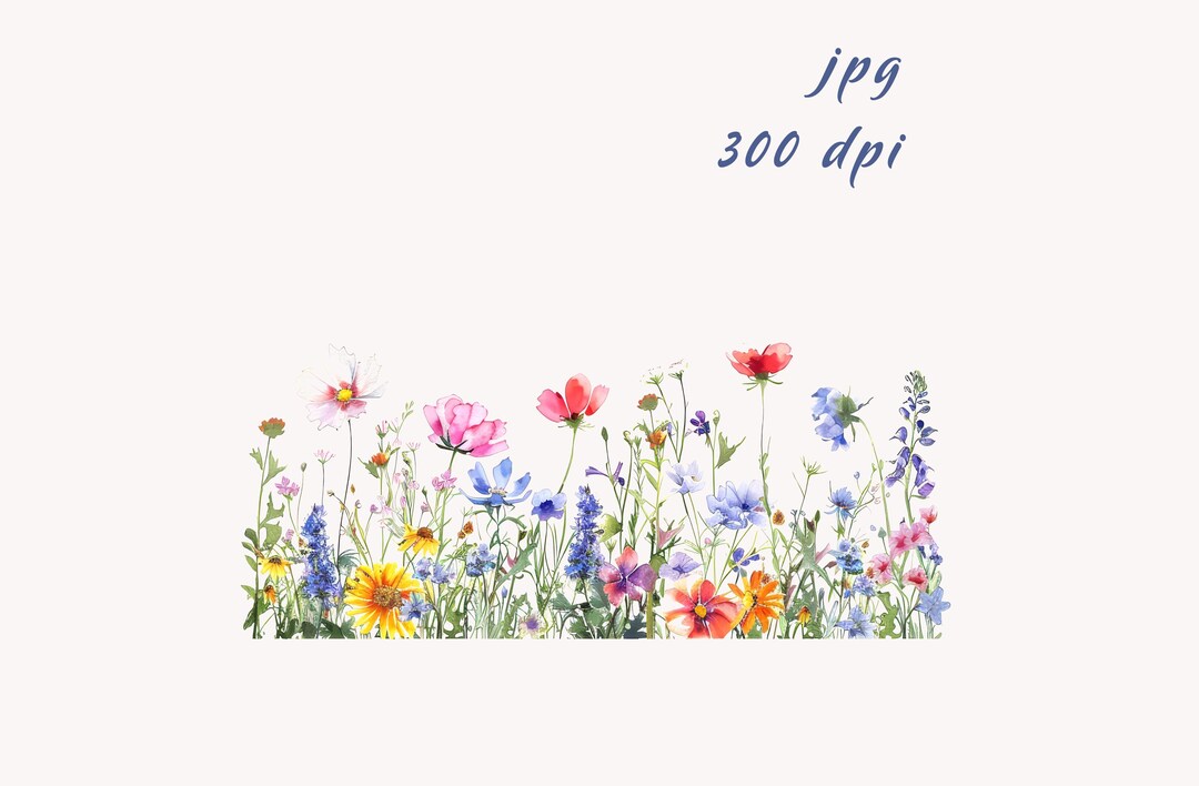 20 Wildflower Borders. Set 3. Watercolor Meadow Flowers. Colorful ...